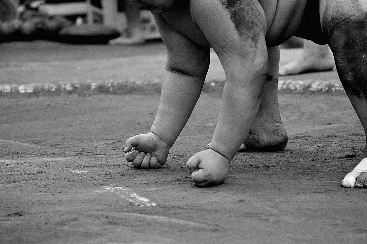 Recognize Cat Obesity Signs with This Essential Guide - Complete Cat Guide