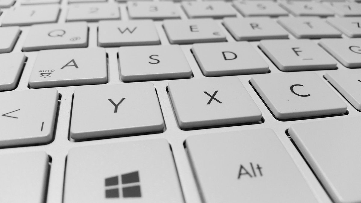 Prevent Cat Keyboard Destruction with These Simple Tips - Complete Cat ...