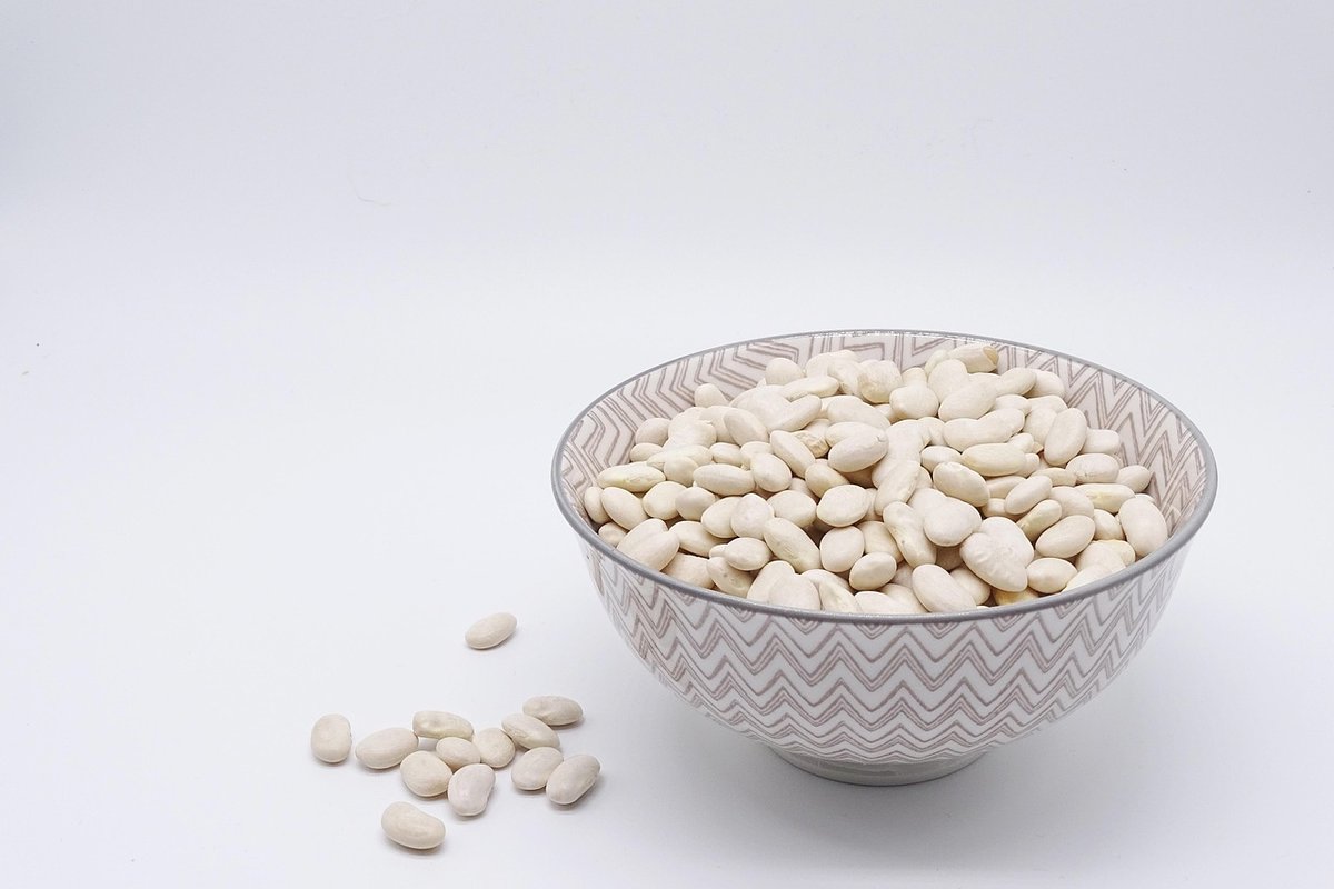 Uncovering Feline Toes: What are Cat Toe Beans? - Complete Cat Guide