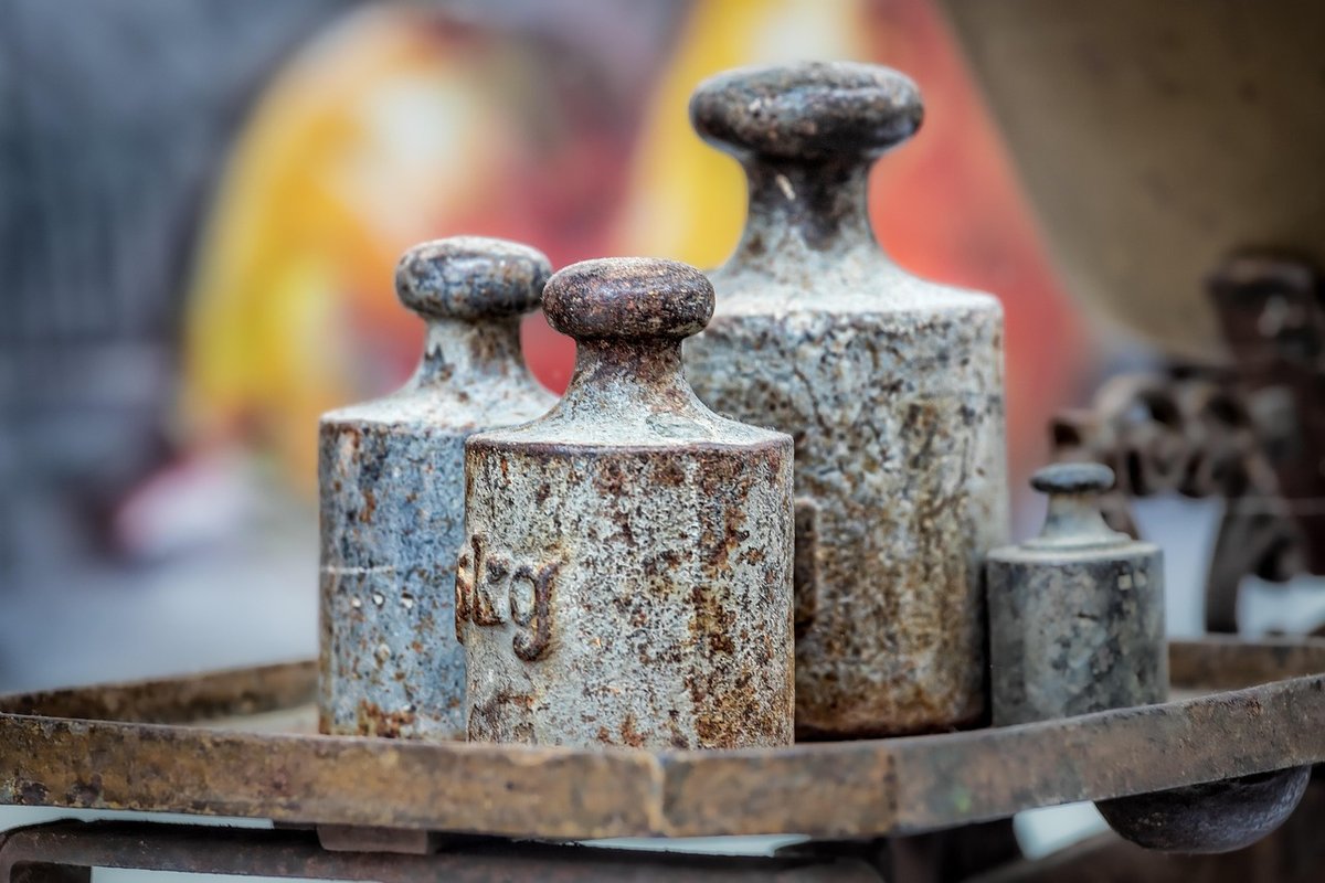 Accurate Cat Weight Scales for Healthy Feline Weighing - Complete Cat Guide