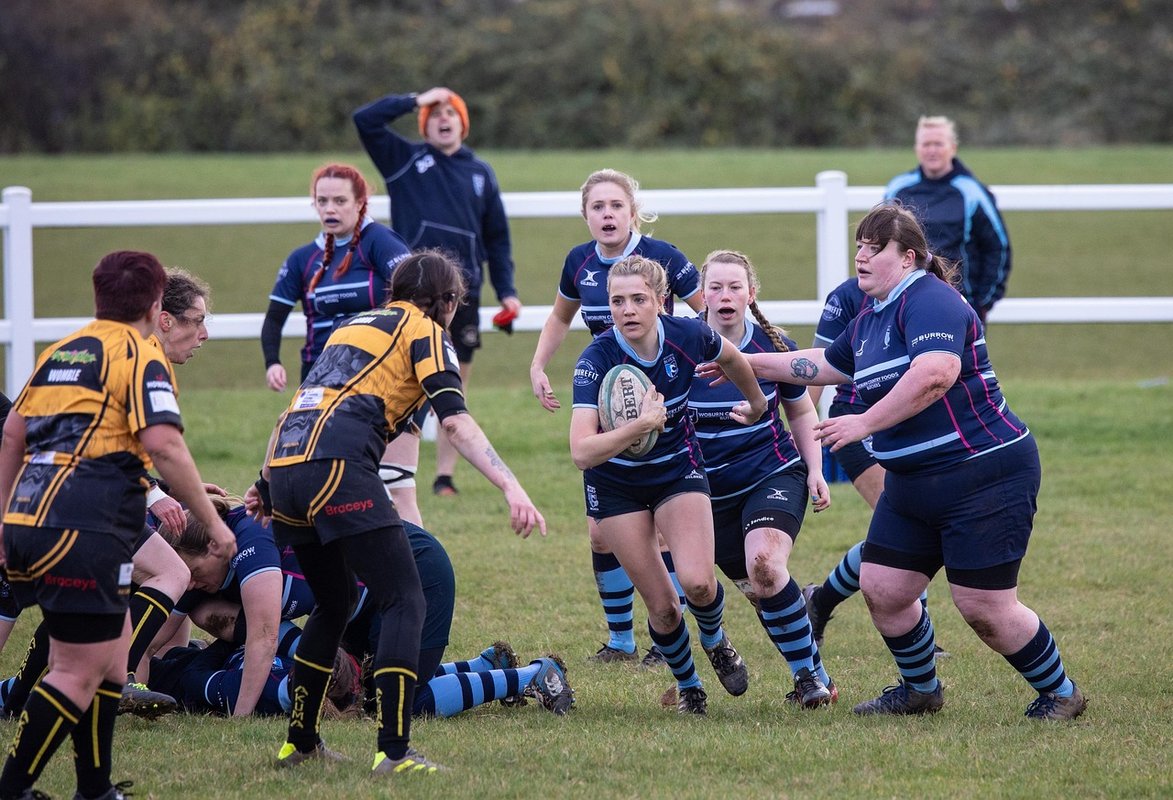 Mastering Cat Rough Play: Tips for a Happy Household - Complete Cat Guide